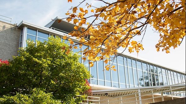 Carruth Center and Department of Behavioral Medicine and Psychiatry to ...