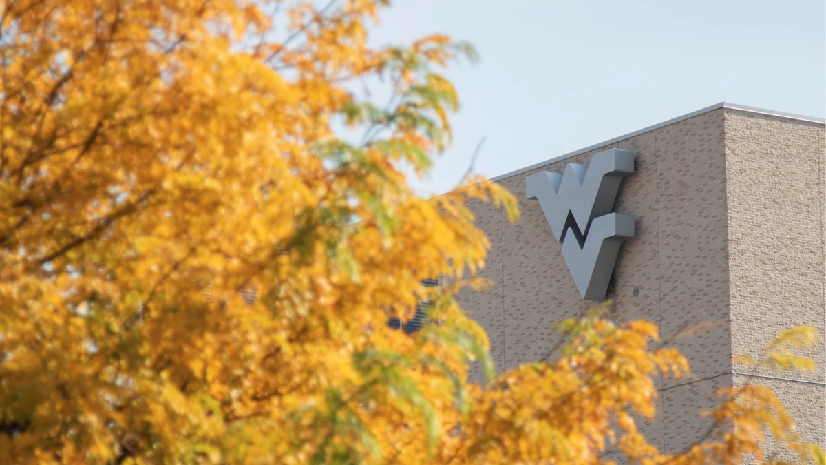 WVU Physical Therapy program to host open house sessions for ...