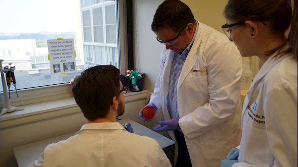 West Virginia Clinical and Translational Science Institute awarded $20 ... West Virginia Clinical and Translational Science Institute awarded $20 ...