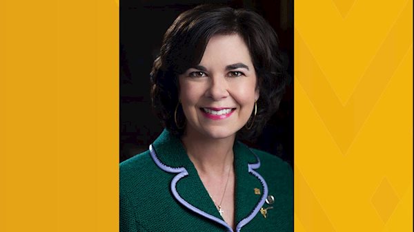 WVU School of Nursing dean re-appointed to state nursing board | School ...